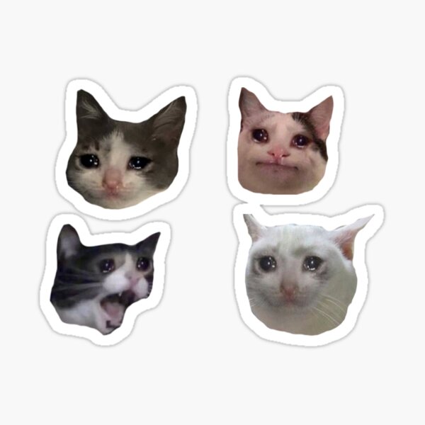 Sadcats Gifts & Merchandise for Sale | Redbubble