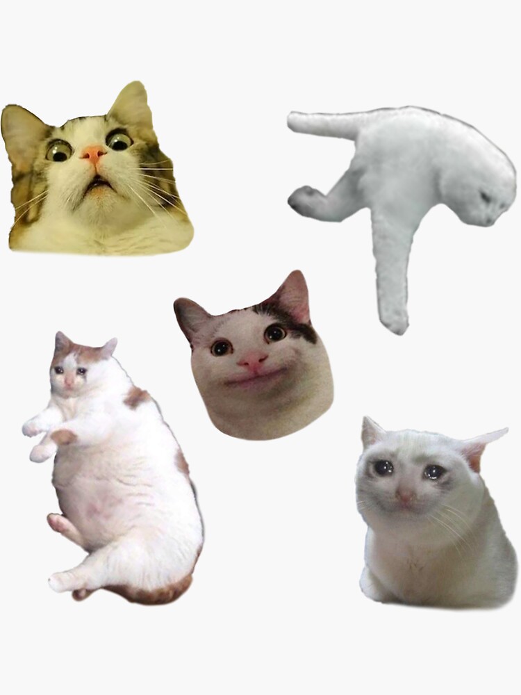 "Sad cat meme" Sticker by Nottellen1 | Redbubble