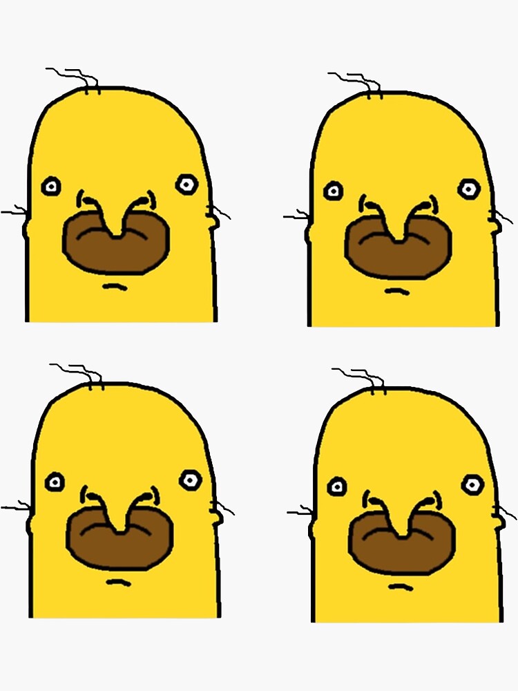 "Big Lez Show Choomah x4" Sticker for Sale by prong7 | Redbubble