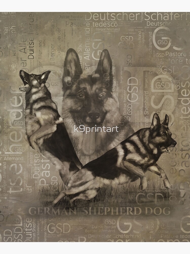 Lámina montada «Pastor Alemán - GSD Word Art» de k9printart | Redbubble