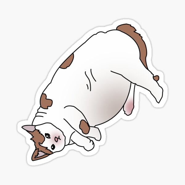 "Sad cursed cat meme" Sticker by zivilej | Redbubble