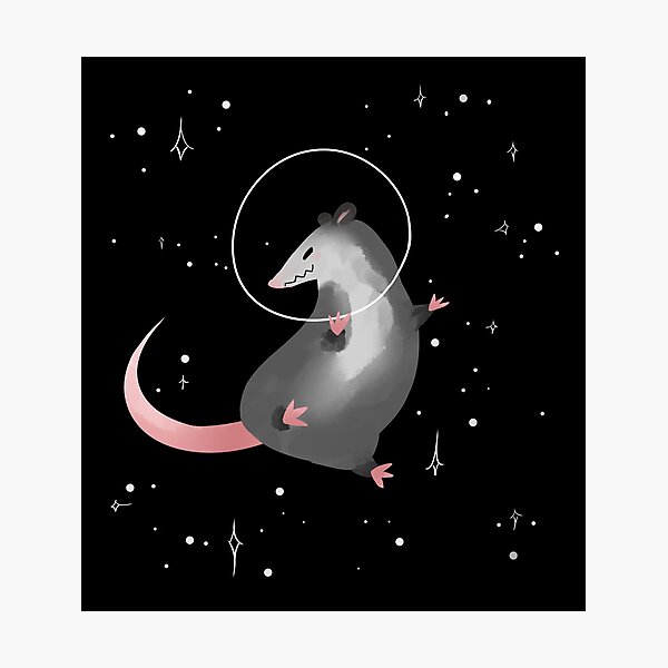 Space Possum Photographic Prints | Redbubble