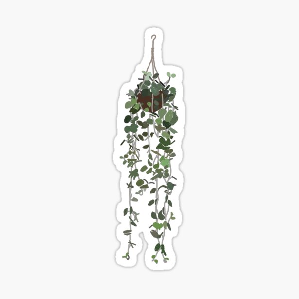 Hanging Plant Stickers | Redbubble