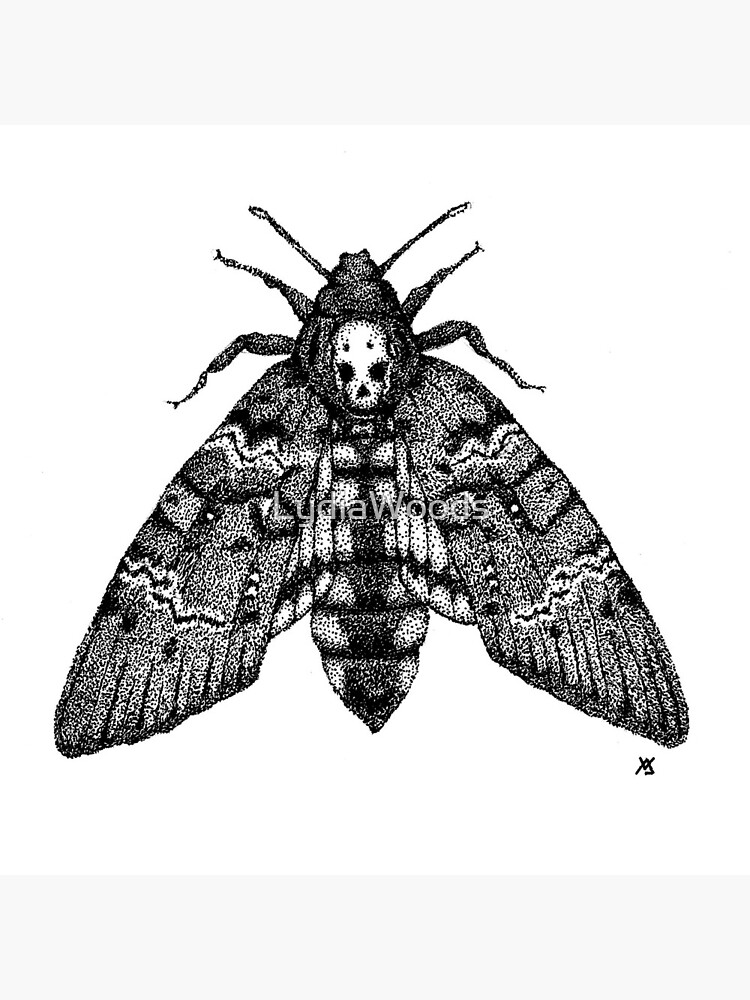 "Dotwork Death's-head Hawk-moth" Art Print for Sale by LydiaWoods ...