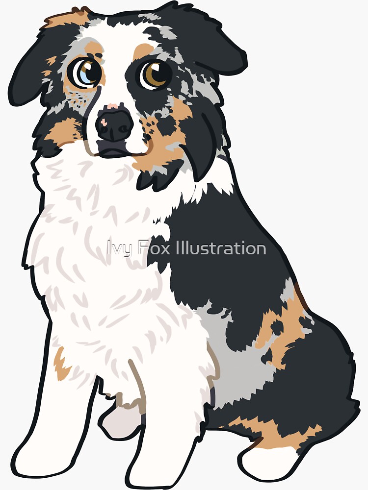 "Chibi Blue Merle Aussie With Heterochromia / Blue Merle Australian ...