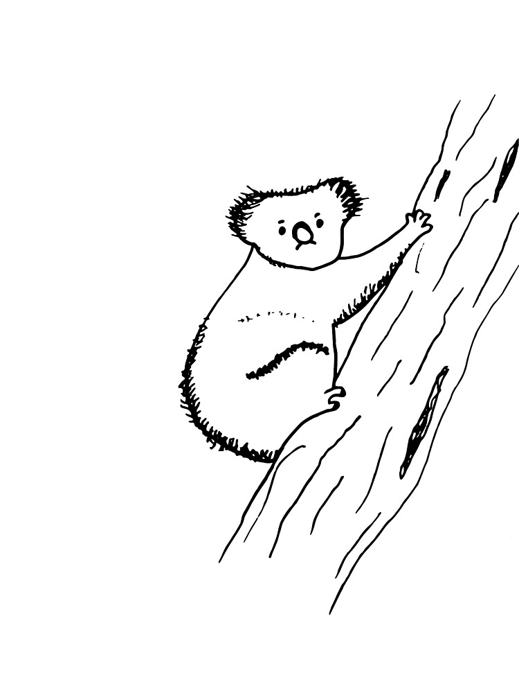 "Angry Koala" Sticker for Sale by spiderbomb | Redbubble