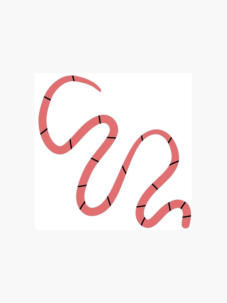 "Minimal Snake Art" Sticker by overcomerscrown | Redbubble