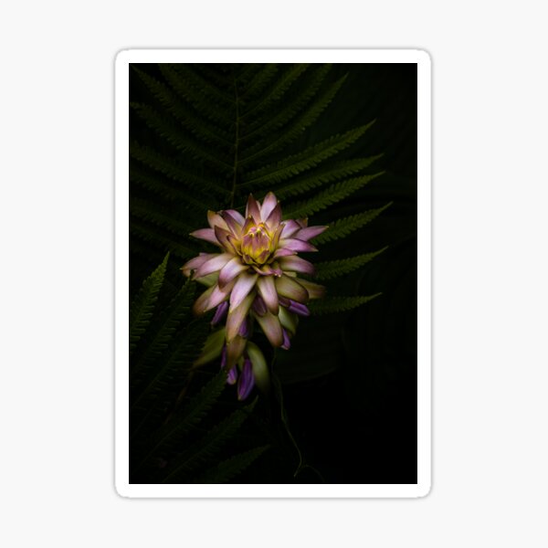"Hosta" Sticker for Sale by alanshapiro | Redbubble
