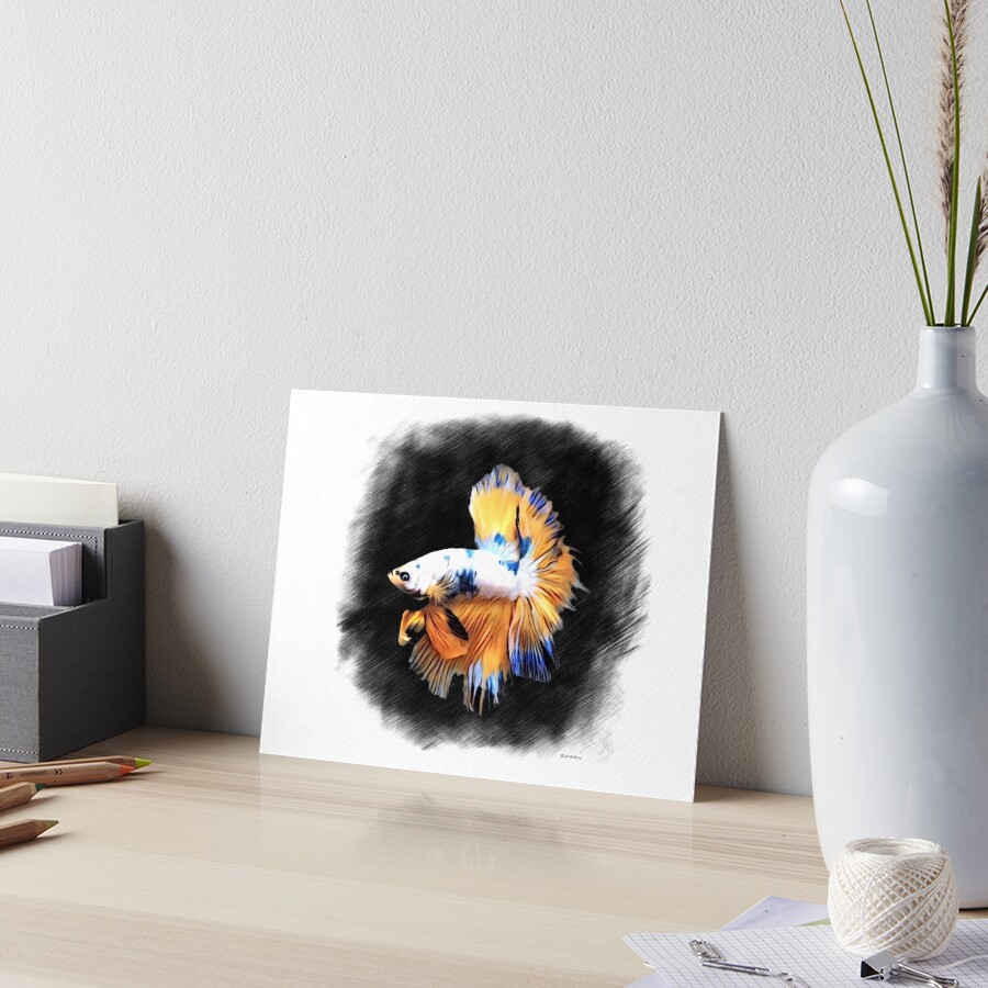 "White Dragon Bumblebee Betta Fish Sketch" Art Board Print by Digital ...