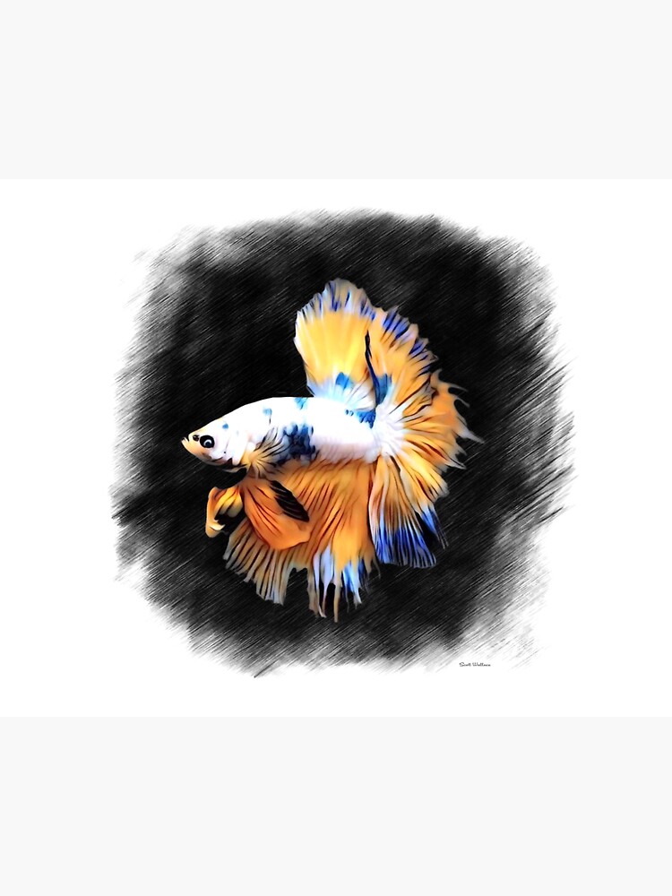 "White Dragon Bumblebee Betta Fish Sketch" Sticker for Sale by Digital ...