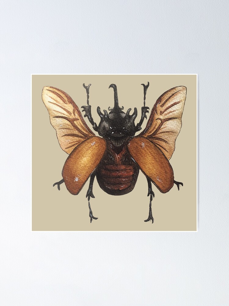 "Eupatoris graciticornus Beetle horned dynastid" Poster by Wieskunde ...