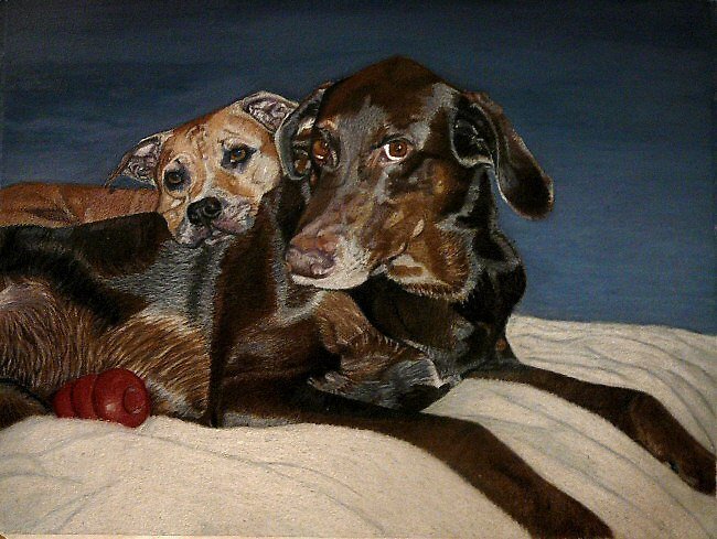 "Brotherly Love - Two dogs cuddling up together" by Patricia Barmatz ...