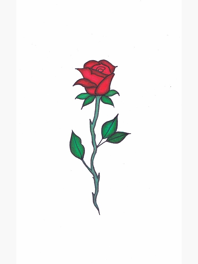 "Rose Drawing" Poster for Sale by bridgettracy | Redbubble