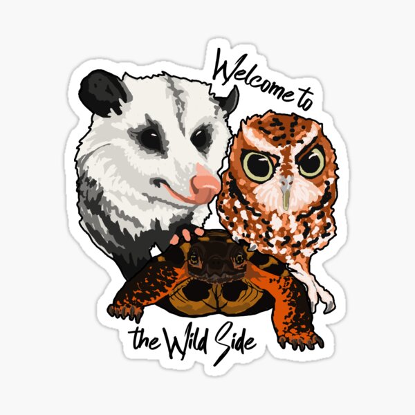 "Welcome to the Wild Side" Sticker for Sale by RiverTurtle | Redbubble