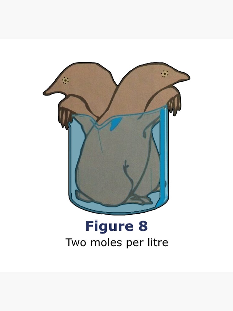 "Two Moles Per Liter" Poster by Socks317 | Redbubble