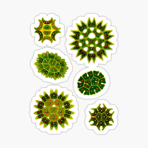 "Microscopic Sea Boogers Pack" Sticker for Sale by bugeats | Redbubble