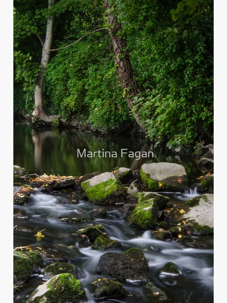"River Tolka, National Botanic Gardens, Dublin" Poster for Sale by ...