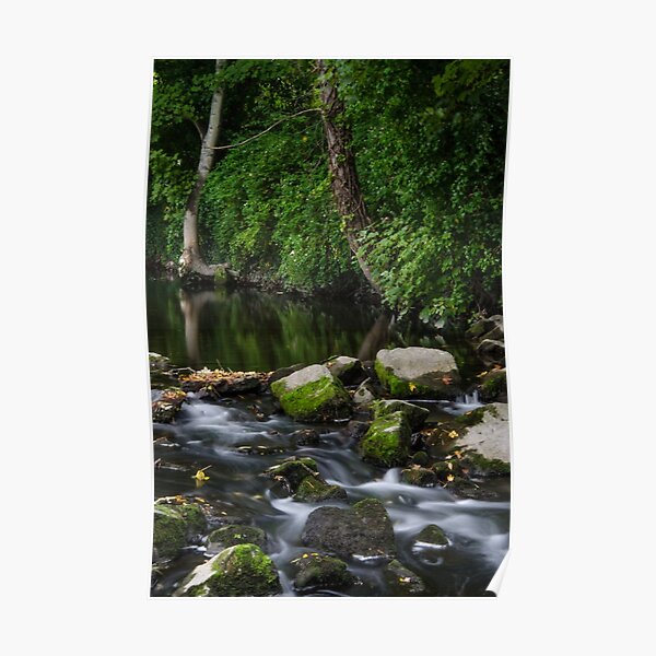 "River Tolka, National Botanic Gardens, Dublin" Poster for Sale by ...