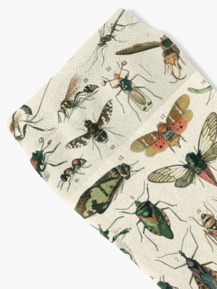 "Insects 2" Socks for Sale by Salocin | Redbubble