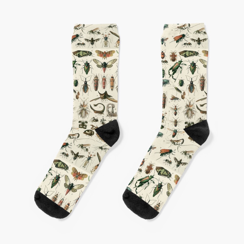 "Insects 2" Socks for Sale by Salocin | Redbubble