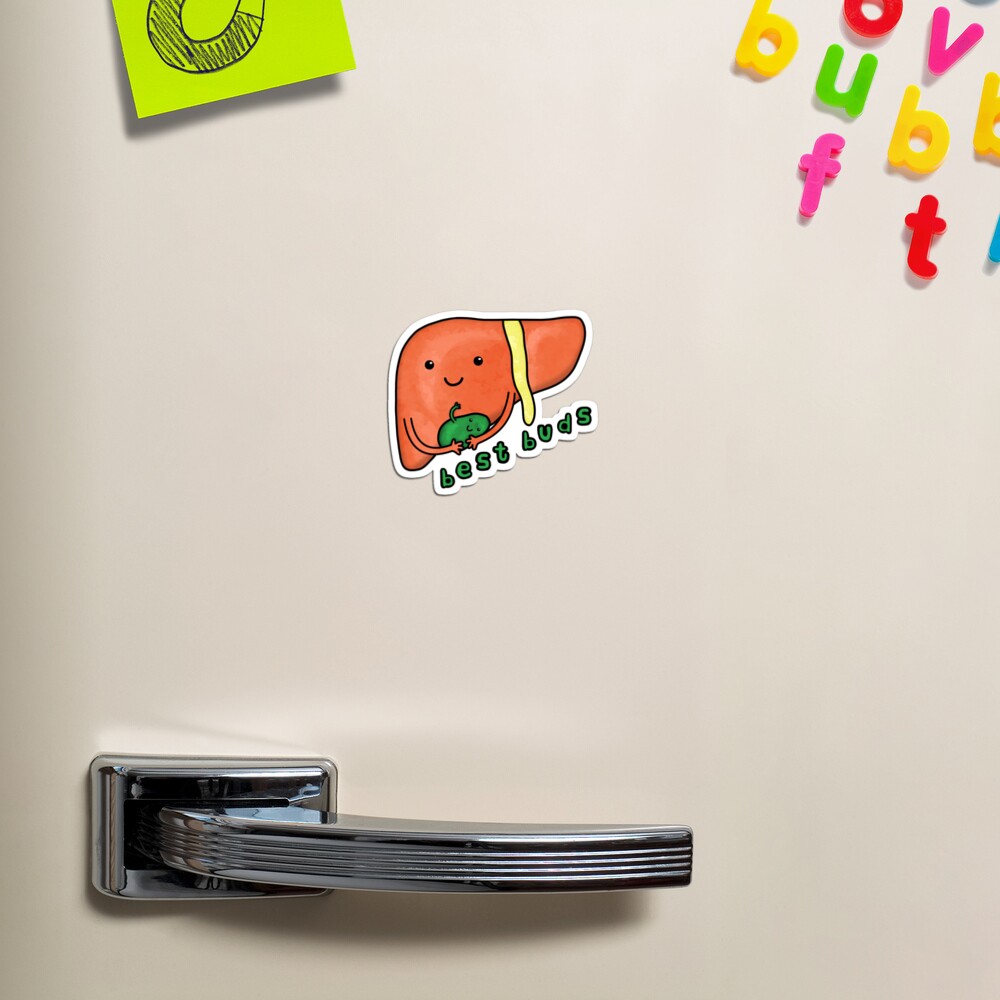 "Liver and Gall Bladder - Best Buds" Sticker for Sale by Apath-Allo ...