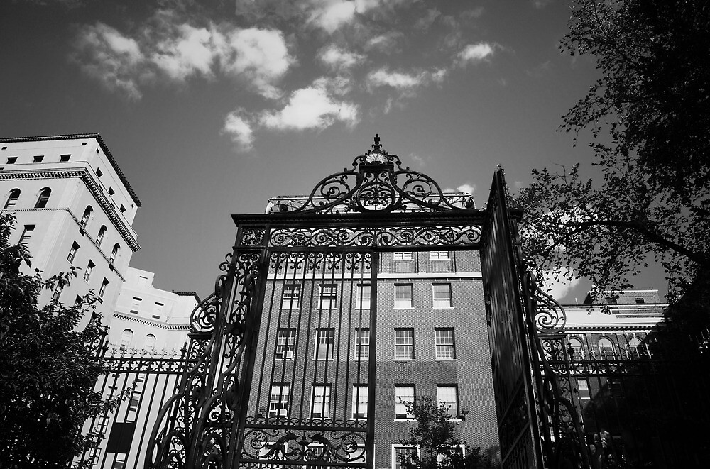 "The Vanderbilt Gate - Central Park - New York City" by Vivienne Gucwa ...