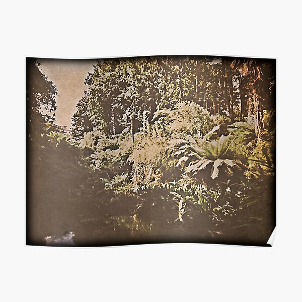 "Lost Gardens of Heligan" Poster by DeniseAbe | Redbubble