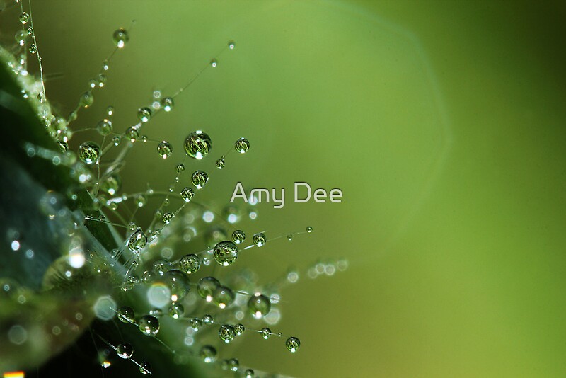 "A little bit of grass, a little bit of water = lovely" by Amy Dee ...