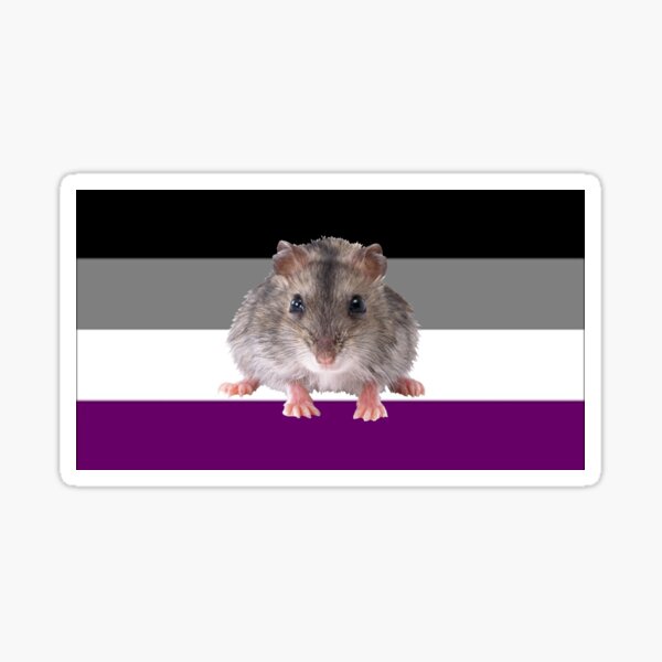 "ace pride rat" Sticker for Sale by seragakisexual | Redbubble