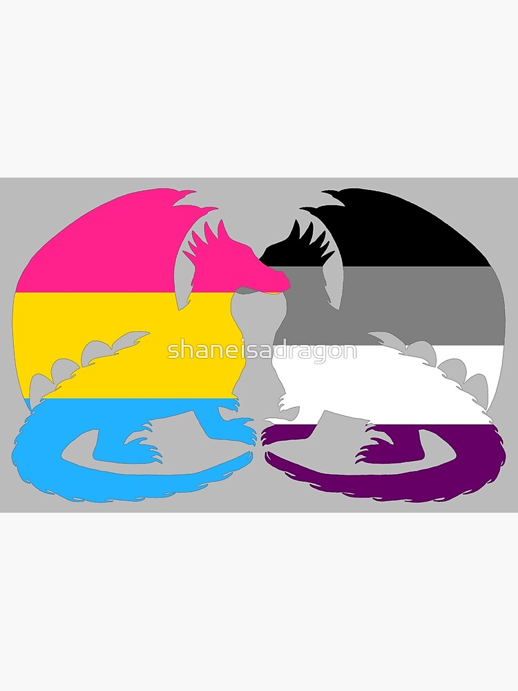 "Pan Ace Pride Dragons" Canvas Print for Sale by shaneisadragon | Redbubble