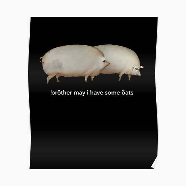 "Brother May I Have Some Oats, Classic Meme" Poster by gorillamerch ...