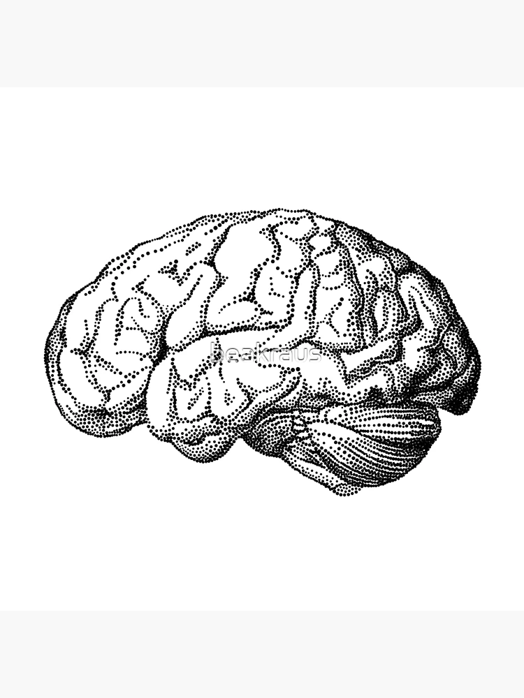 Cerveau Graphique Noir Et Blanc Pictogramme De Vecteur De Cerveau. Le