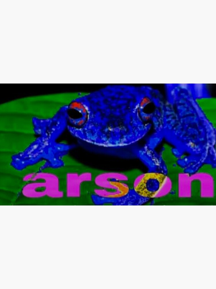 "arson frog meme!" Sticker for Sale by cdunn127 | Redbubble