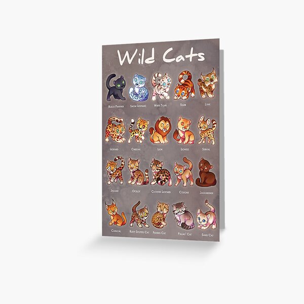 "Wild Cats - educational poster print for kids of big and small wild ...
