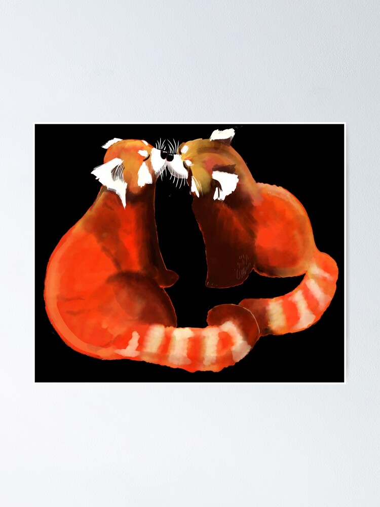"Red Panda Kiss Cute Couple" Poster for Sale by SusanaDesigns | Redbubble