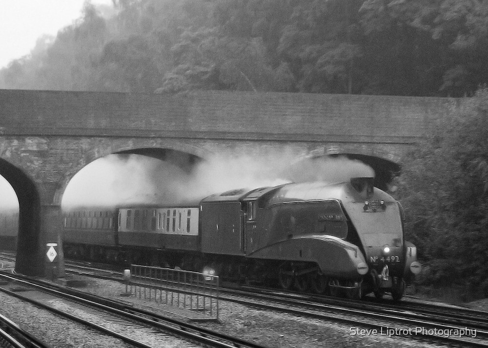 "LNER A4 Pacific" by Steve Liptrot Photography | Redbubble