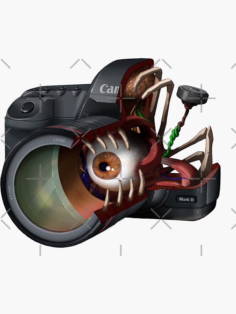 "Capture Everything" Sticker by madspeitersen | Redbubble