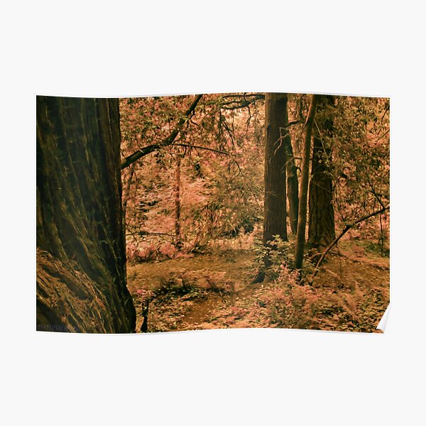 "Old Time Forest" Poster by IJOriginals | Redbubble