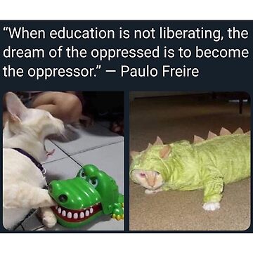 "Liberation Education Meme" Photographic Print for Sale by DankDreamz ...