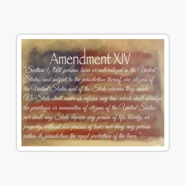 "14th Amendment" Sticker for Sale by peachthomas | Redbubble