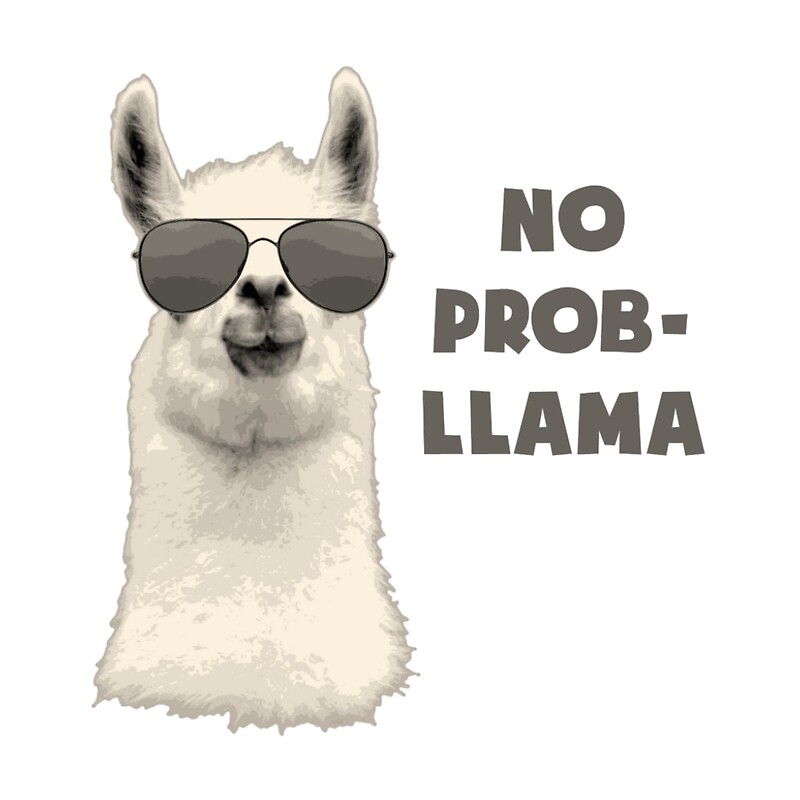 No Probllama: Stickers | Redbubble