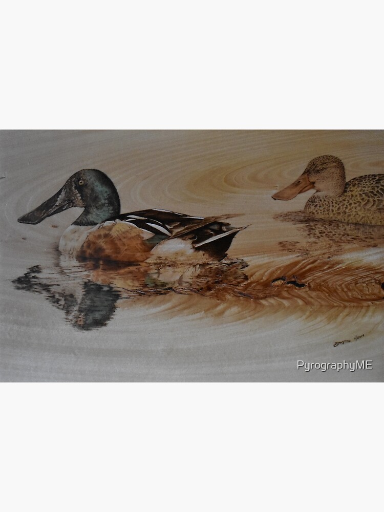 "Northern Shoveler Ducks pyrography and airbrush art" Poster by ...