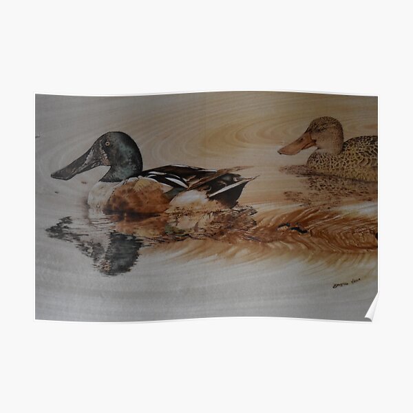 "Northern Shoveler Ducks pyrography and airbrush art" Poster by ...
