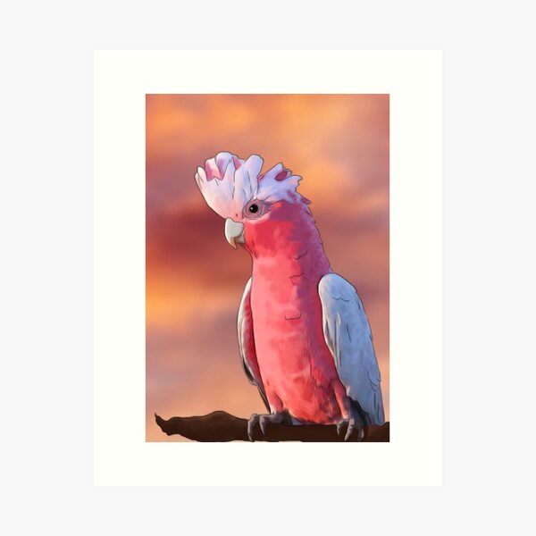 Jessica Holliday Shop | Redbubble