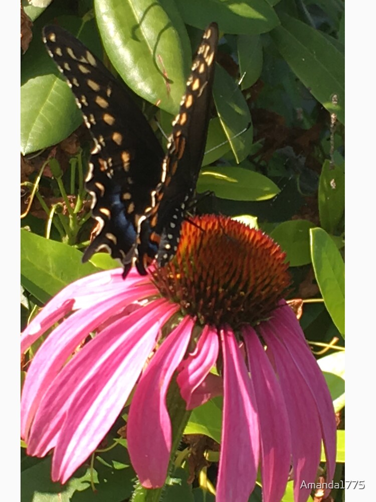 "Buterfly 2: a different angle " Essential T-Shirt for Sale by ...