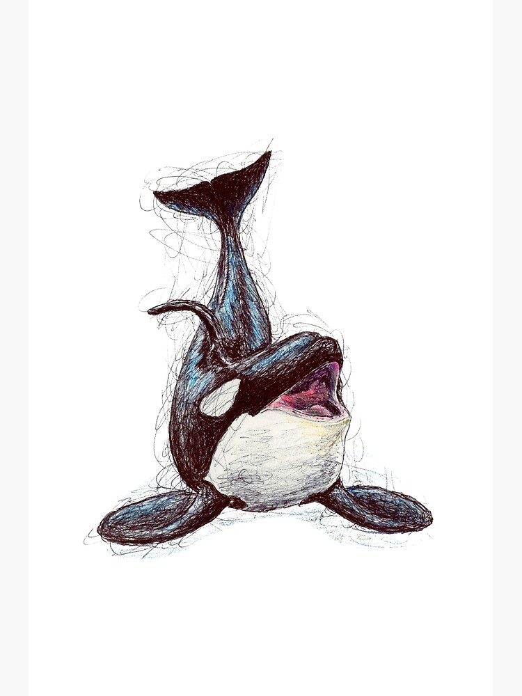 "Inouk the Killer Whale Scribble Drawing" Art Print by ArtyOrca | Redbubble