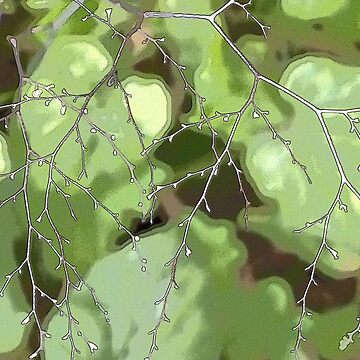 "Branching out" Sticker for Sale by KimHSinclair | Redbubble