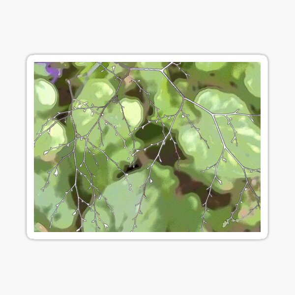 "Branching out" Sticker for Sale by KimHSinclair | Redbubble