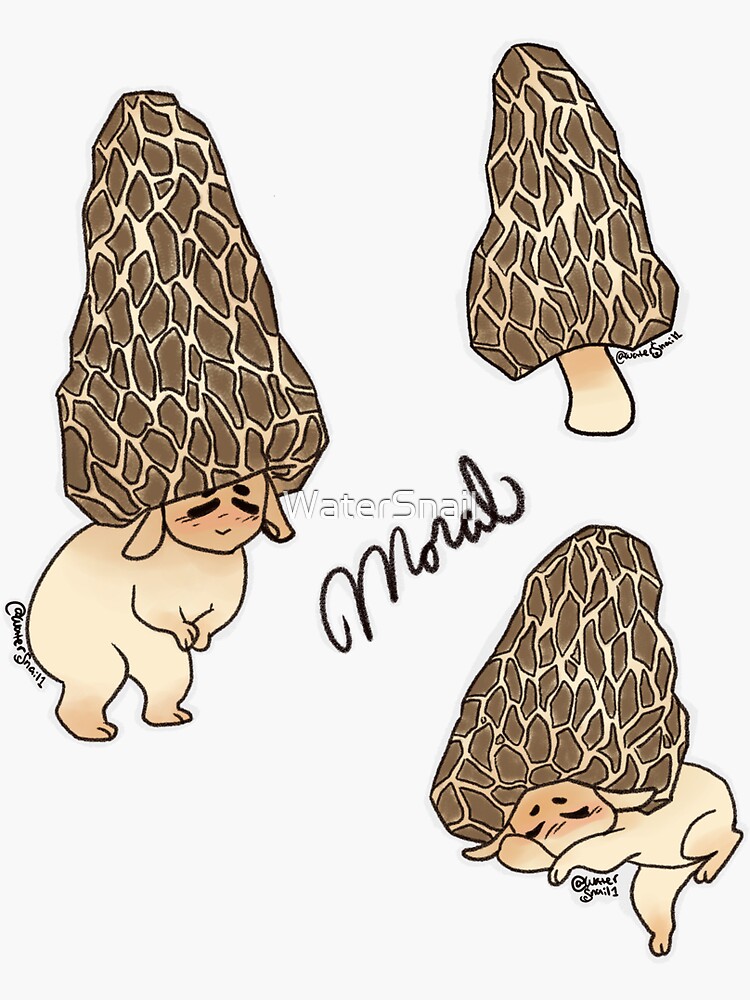 "Moral" Sticker by WaterSnail | Redbubble