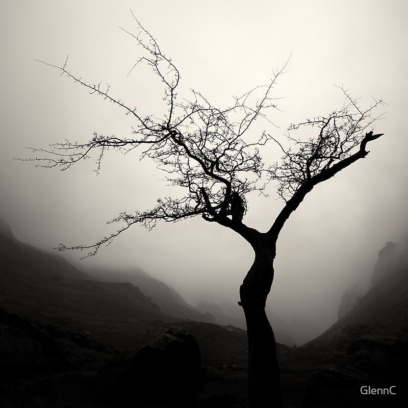 "A void of emotion" by GlennC | Redbubble